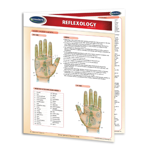 Reflexology Guide & Maps (Digital Edition) – DoctorSpot